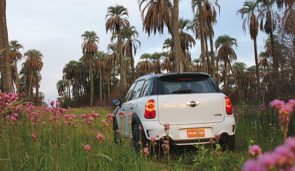 Maxi cooper | Parabrisas