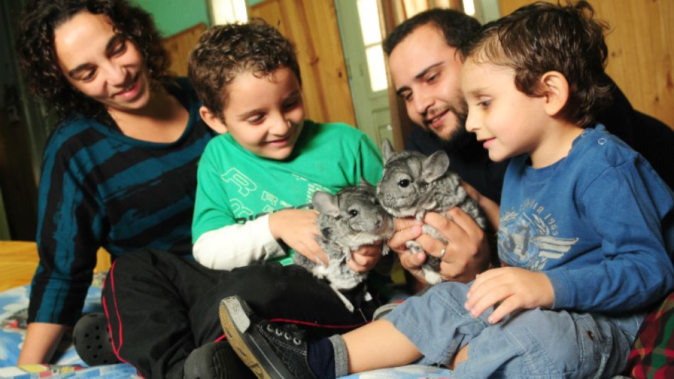 Más familias eligen vivir con mascotas no tradicionales | Perfil