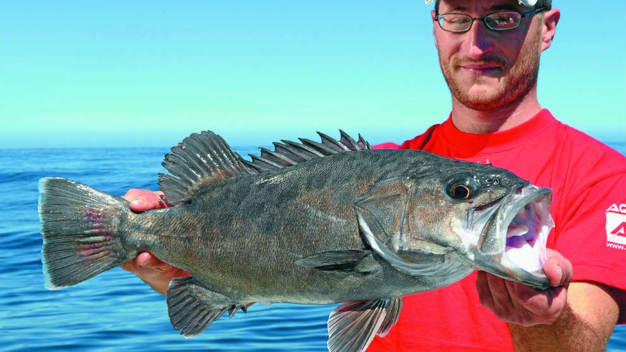 Salmón, chernia y mero en el mismo pesquero | Weekend