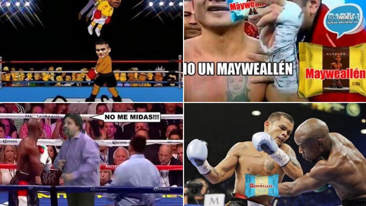 Memes Boxeadores