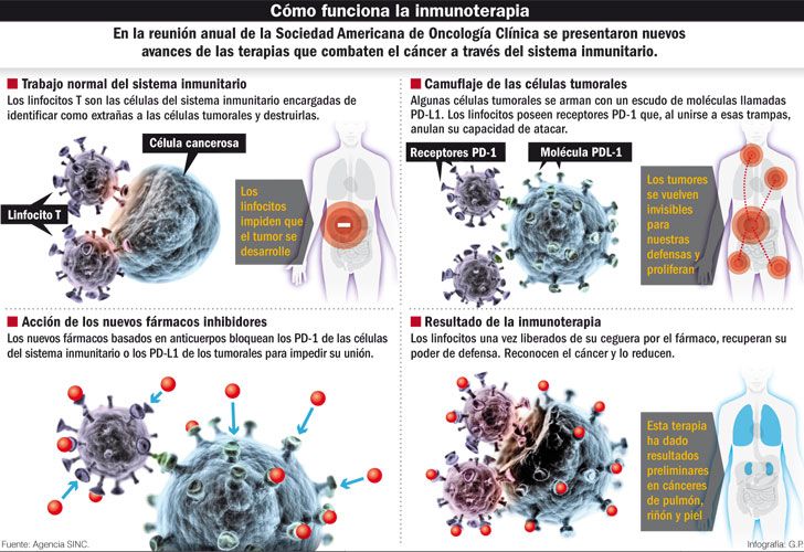 Inmunoterapia: nueva arma en el tratamiento contra el cáncer | Perfil