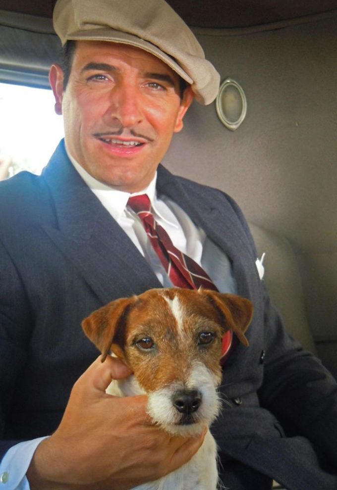 Murió Uggie, el famoso perro de "The Artist" | Exitoina