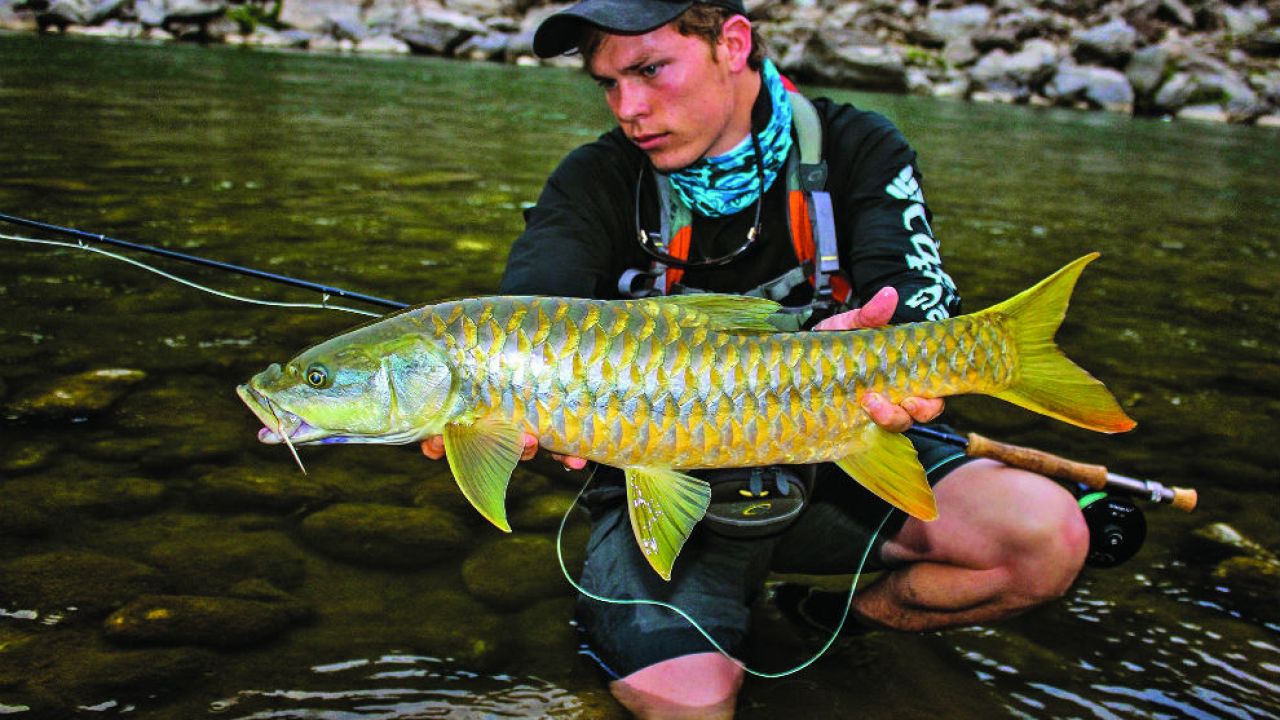 Mahseer de la India: un pez mítico | Weekend