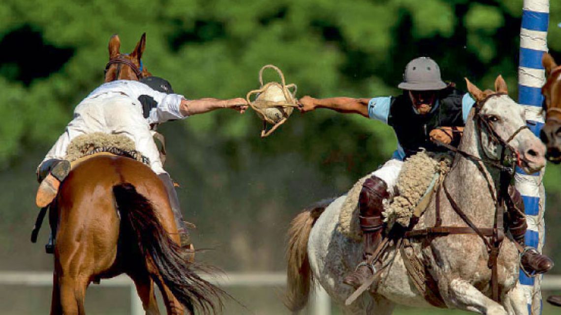 Noticias | Pato, la lucha contra el olvido