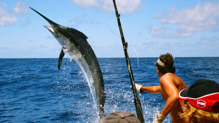 Pesca de marlín en aguas cubanas | Weekend