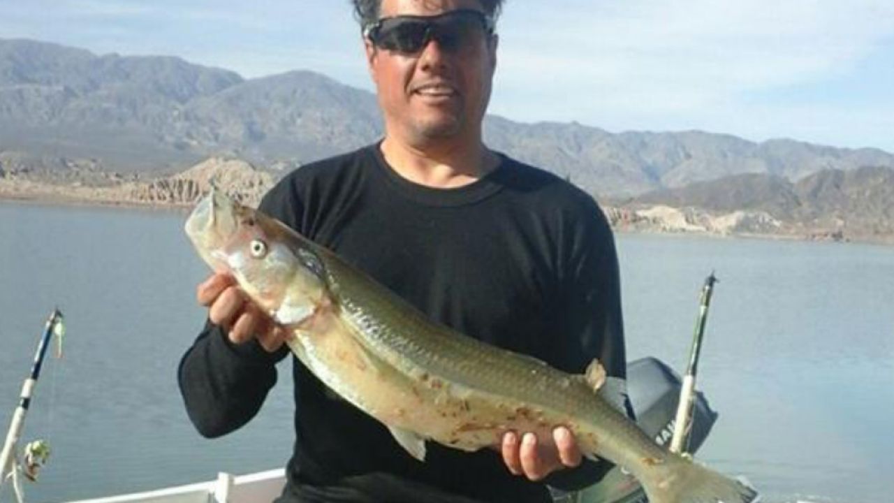 Un matungo pescado en San Juan | Weekend