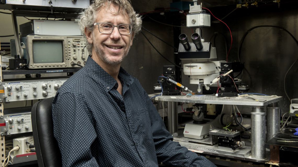 Por primera vez, ‘Science’ publica dos descubrimientos argentinos en su ...