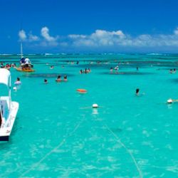 Conoce las principales playas para visitar Maceió | Weekend