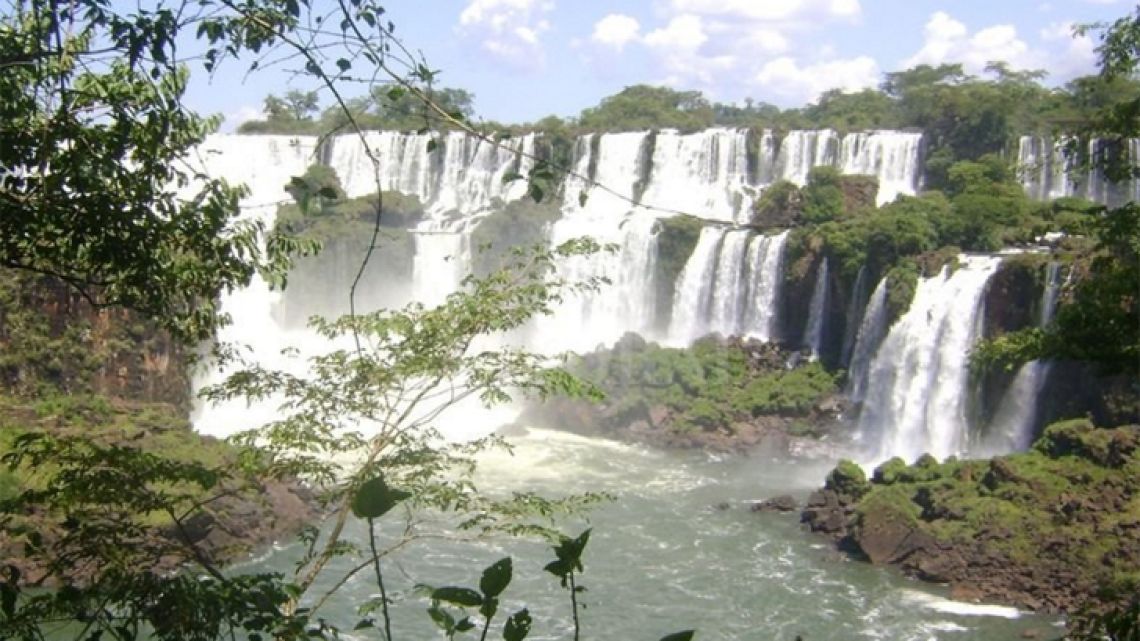 Cierran las Cataratas del Iguazú por la aparición de un puma | Perfil
