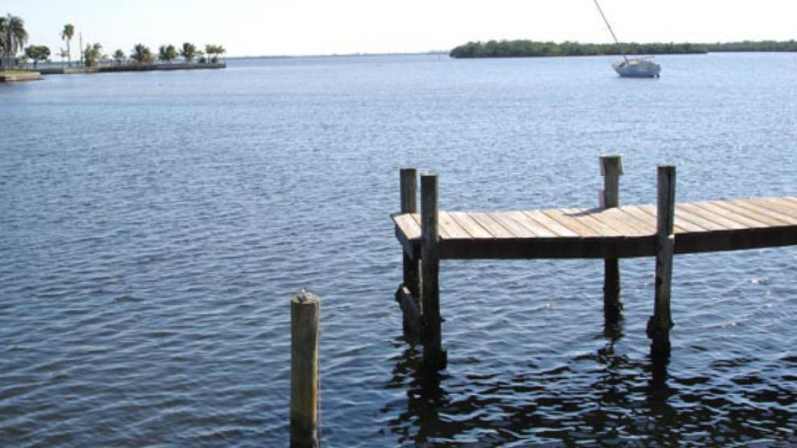 Weekend | En video: Todo sobre pesca de muelle