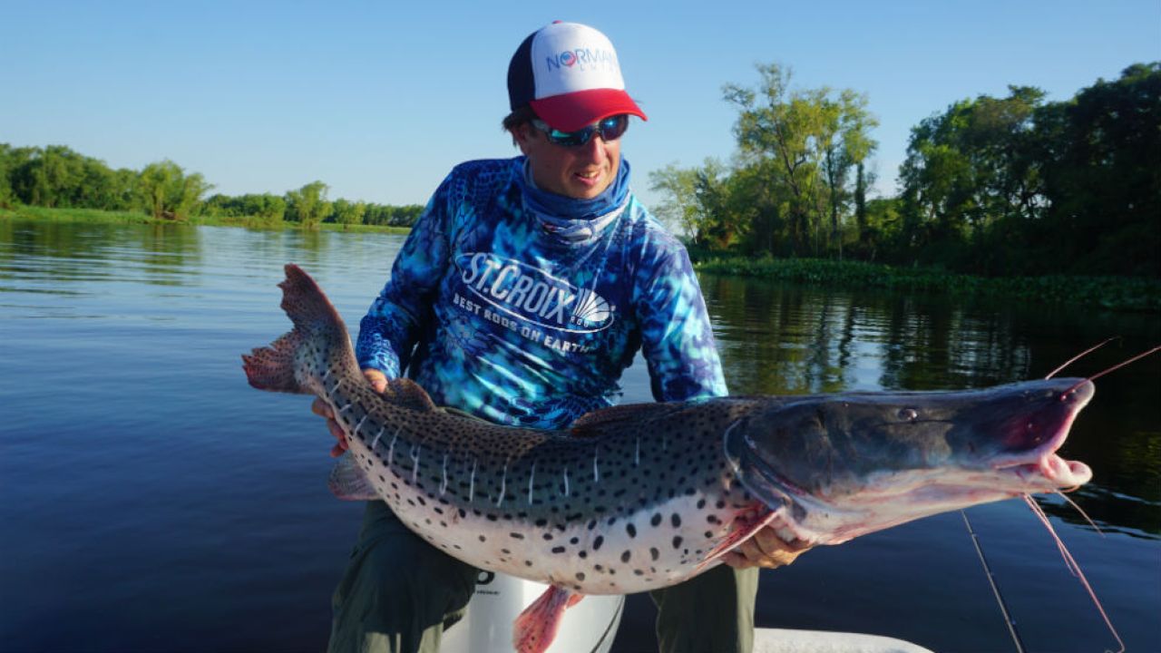 Palpitando la Fiesta del Surubí | Weekend