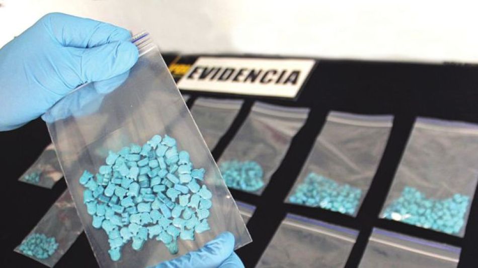 Narcotráfico: un juez se niega a cerrar causa por robo de efedrina | Perfil