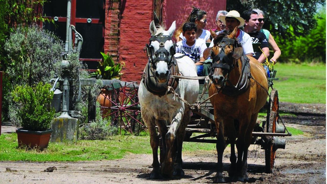 Los más asombrosos 40 km de la Ruta 8 | Weekend
