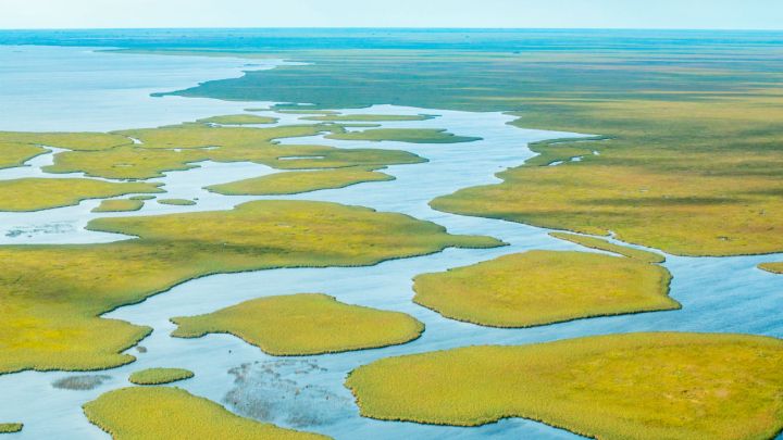 Parque Nacional Iberá: nace el mayor espacio natural de la Argentina ...
