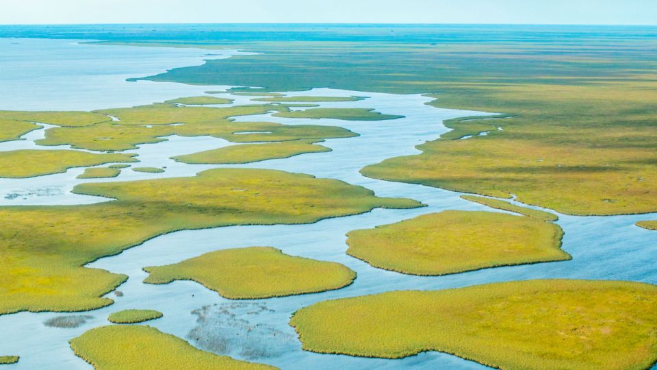 Parque Nacional Iberá: nace el mayor espacio natural de la Argentina ...