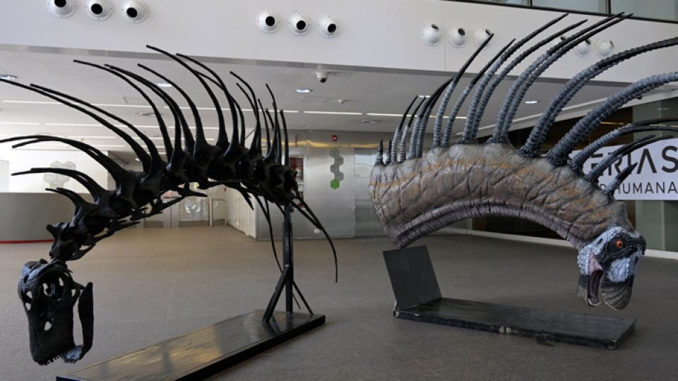 Dinosaur that defended itself with spiny backbone found in Patagonia ...