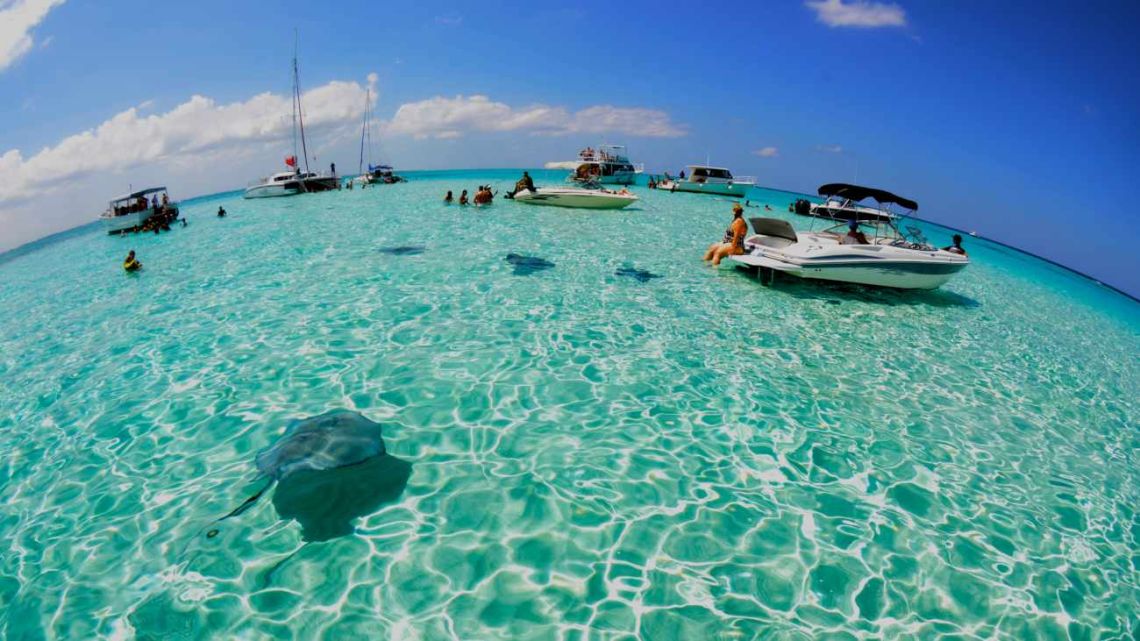 Weekend | Cómo es nadar con rayas en las Islas Caimán