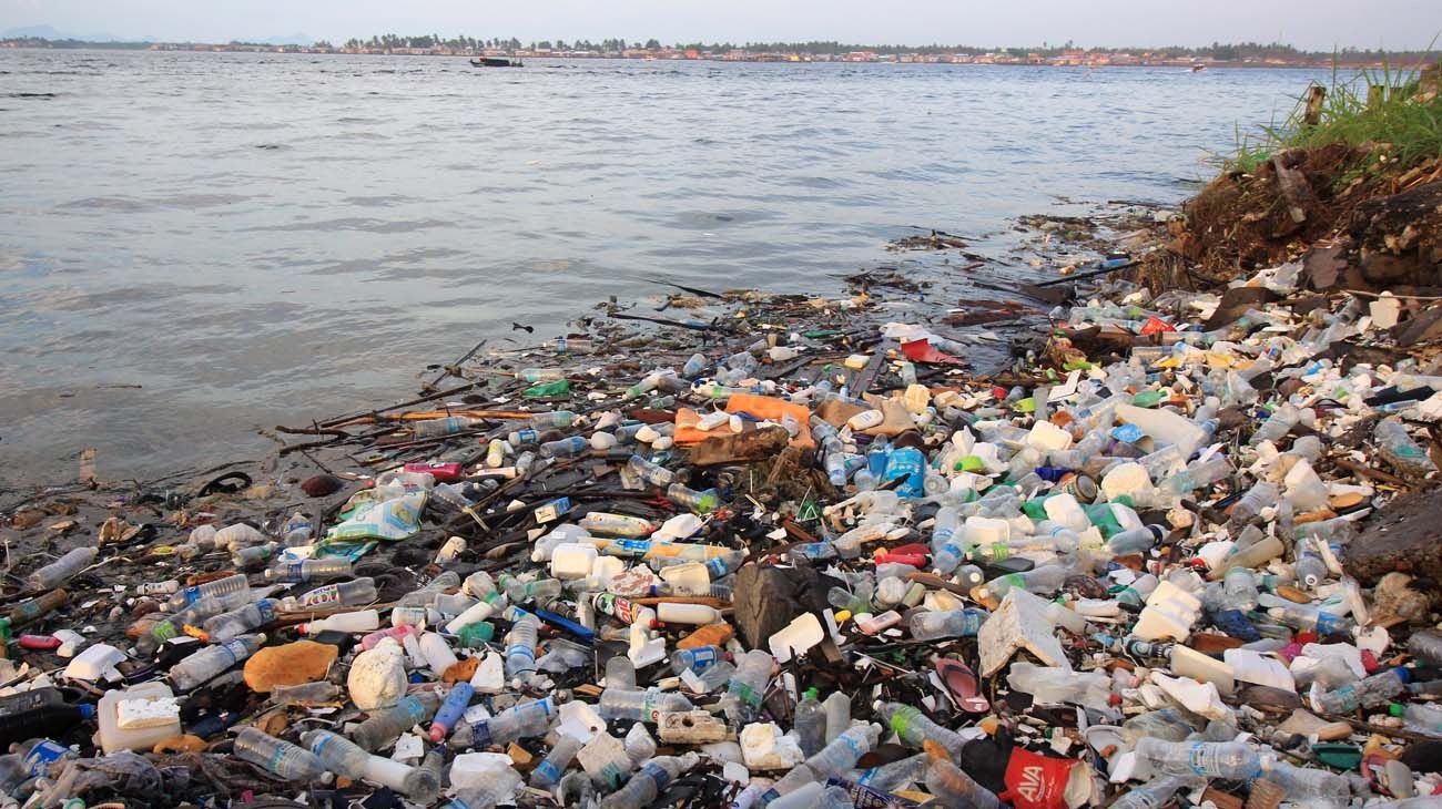 Eliminar los plásticos desechables no acabaría con la contaminación en ...