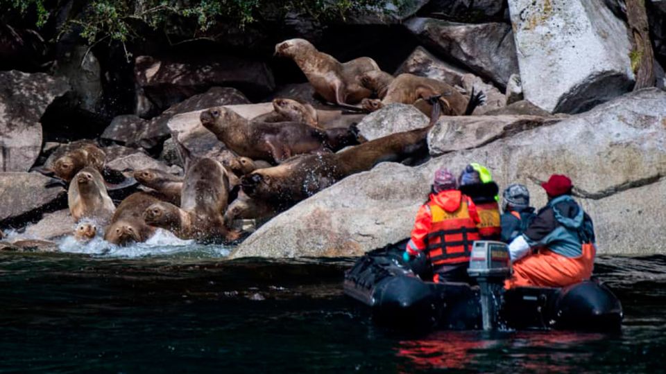 Chilean Patagonia: an open-air lab to study climate change | Buenos ...