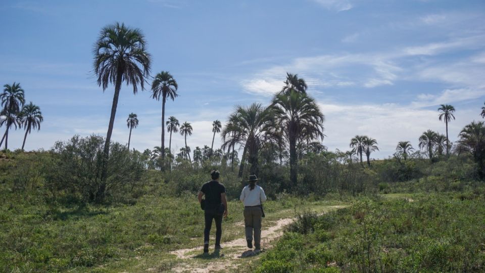 5 senderos para recorrer El Palmar | Weekend