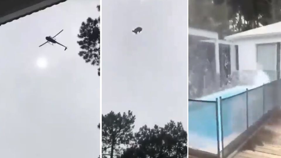 Dead lamb swimming-pool plunge sparks anger in Argentina | Buenos Aires ...