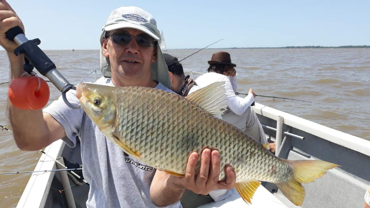 Claves para disfrutar de las grandes bogas de Berisso | Weekend