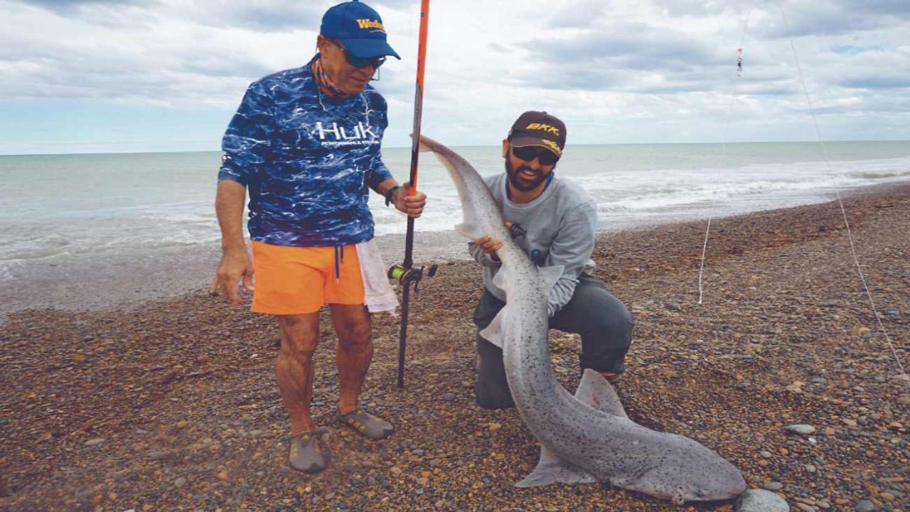 Inolvidable jornada de tiburones en Rocas Coloradas | Weekend