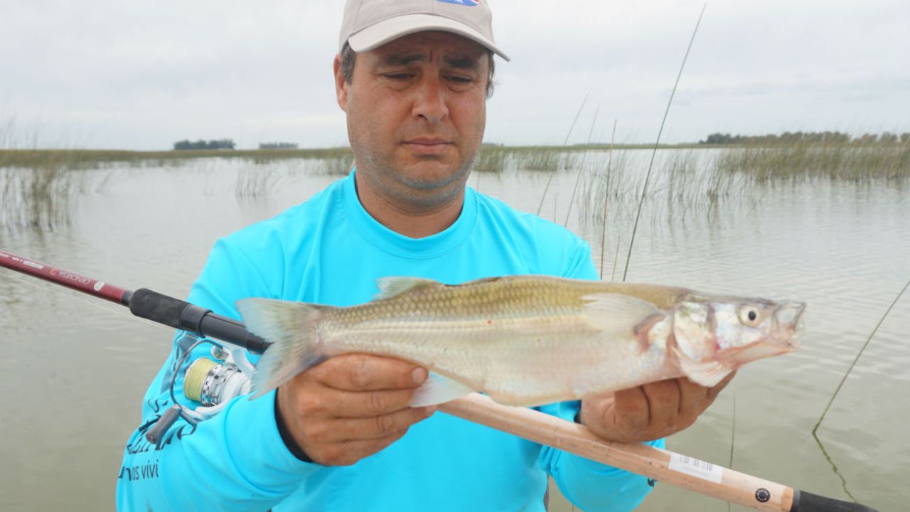 Pejerreyes: los de 40 cm ya están picando | Weekend