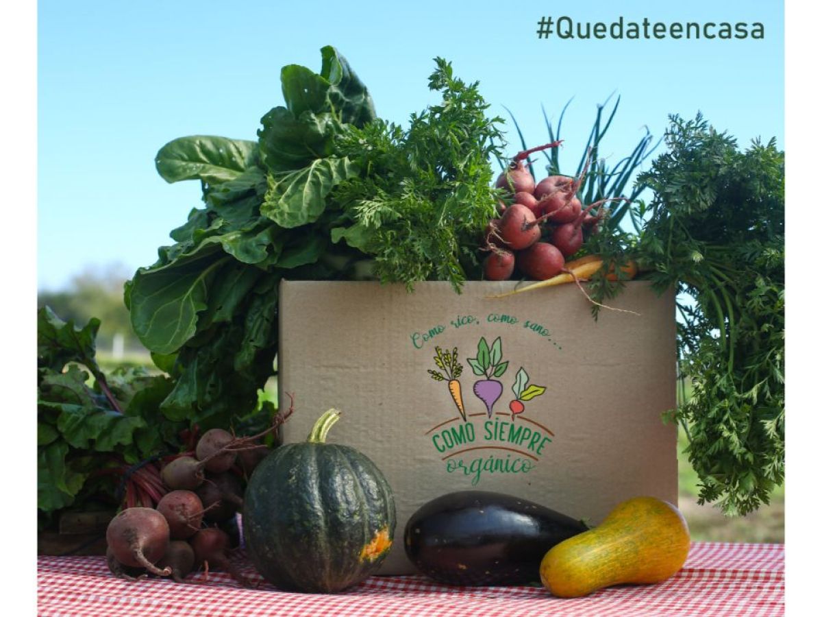 Caras | Como Siempre Orgánico: productos saludables y certificados ...