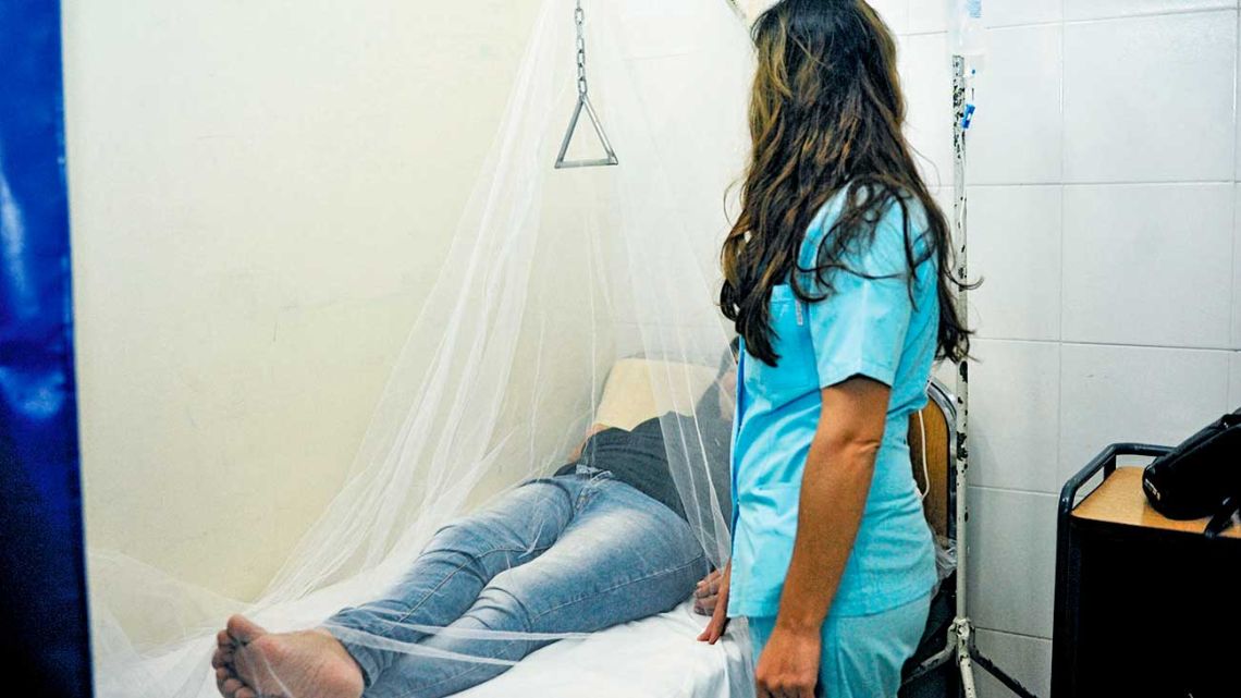 Cuarentena especial para un enfermo de dengue | Perfil