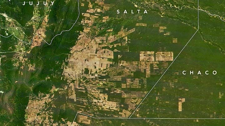 Así se ve la deforestación del Gran Chaco desde el espacio | Weekend