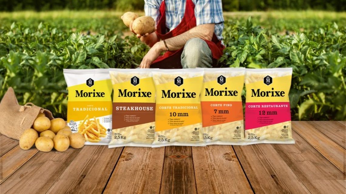 Acciones de Morixe suben 270 % en lo que va del año | Fortuna