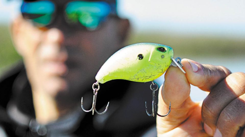 Clínica de señuelos: cómo reparar los que salieron airosos de grandes ...