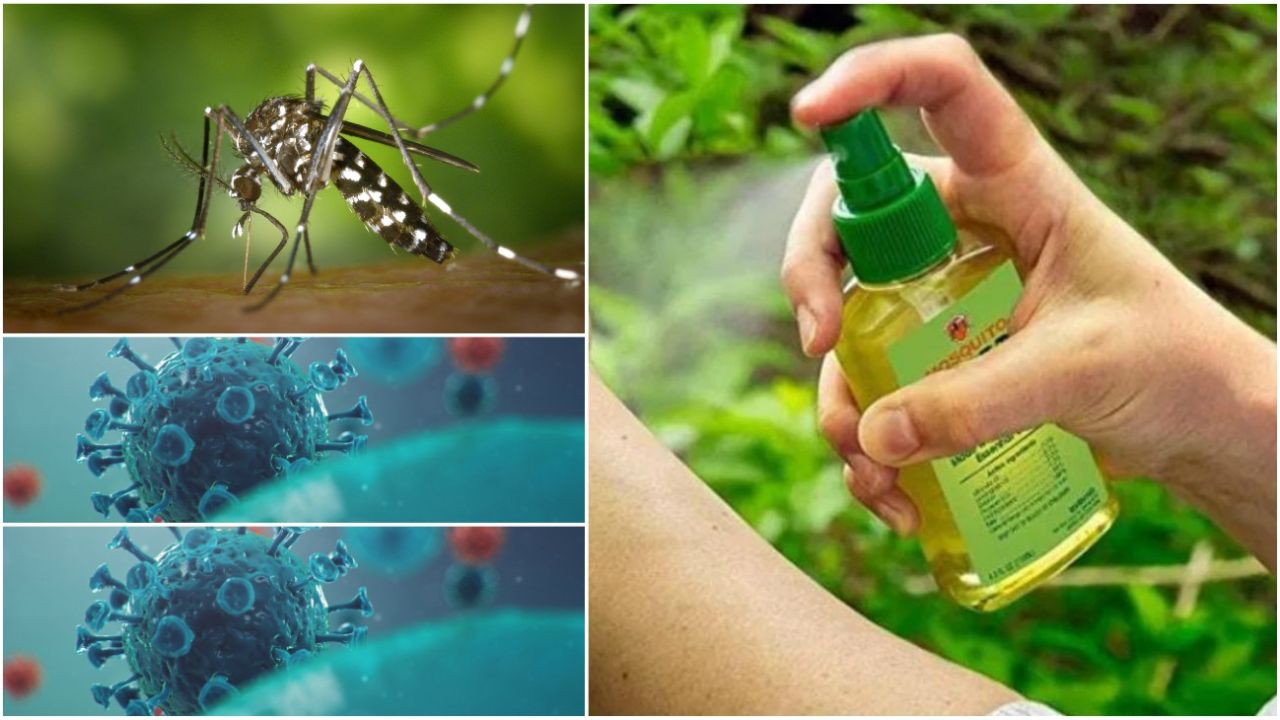 Descubrimiento: ¿qué repelente para mosquitos neutralizaría el ...