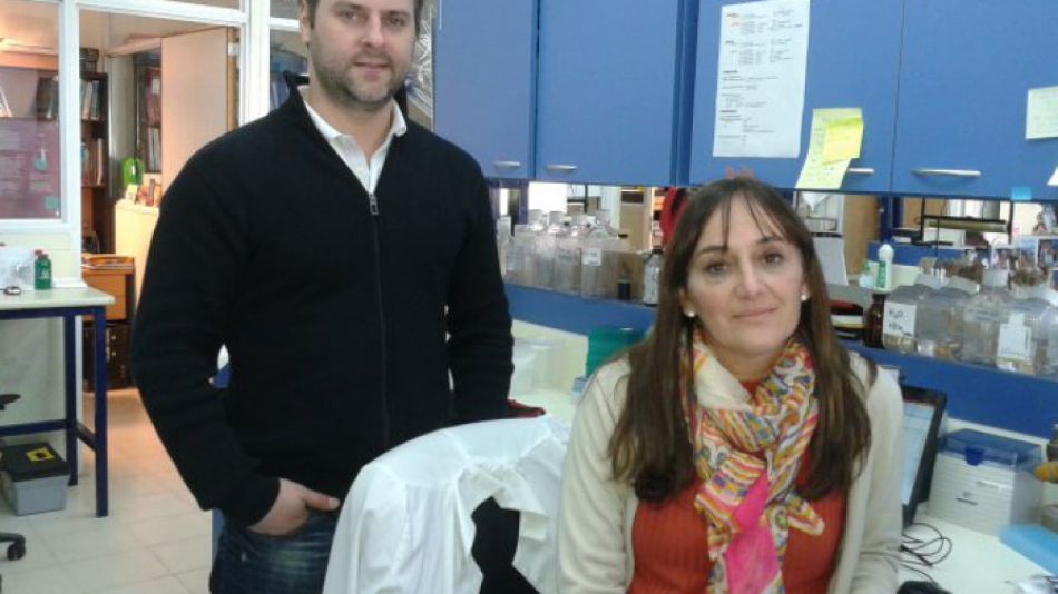 ¿La llegada del calor es una buena noticia para enfrentar al virus ...