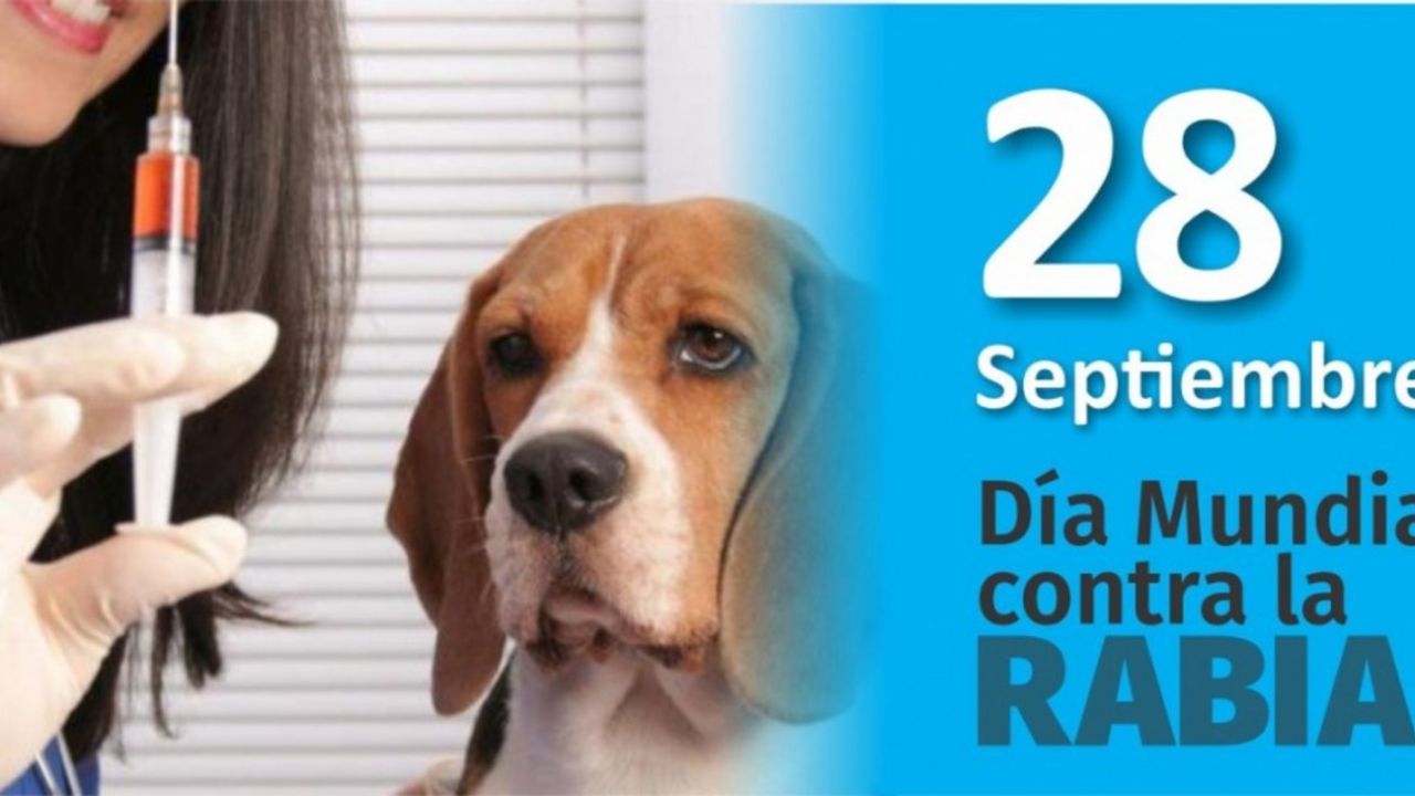 Qué es la rabia, cómo se transmite y combate | Weekend