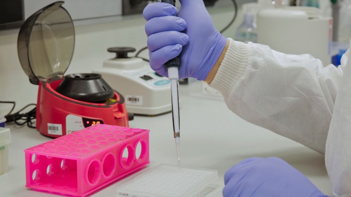 El Malbrán confirmó que la nueva cepa de Río de Janeiro circula en ...