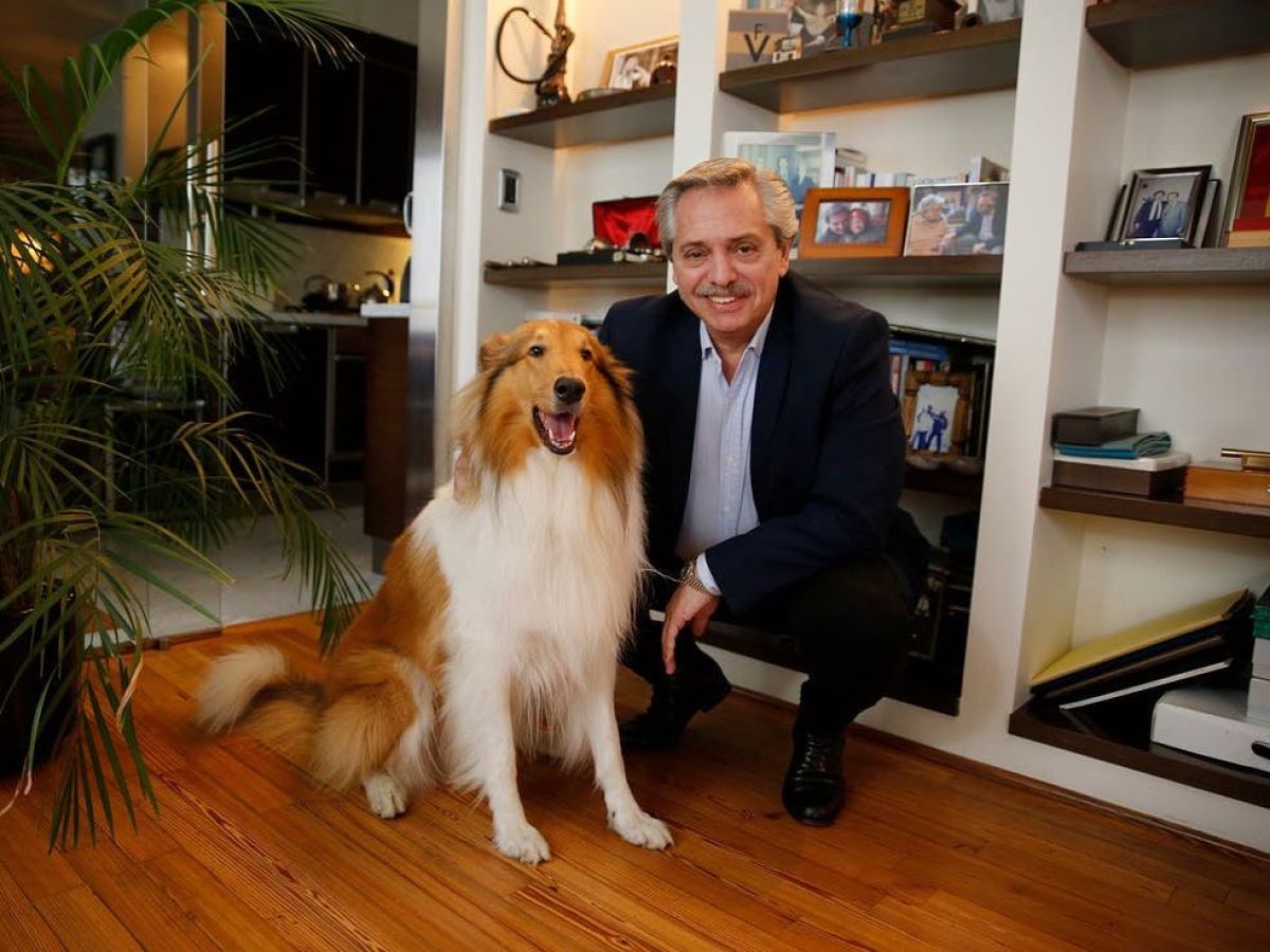 Caras | Alberto Fernández celebró el cumpleaños de Dylan, su perro, con ...