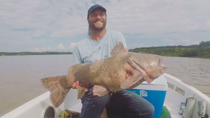 Pescaron una rara especie de manguruyú | Weekend