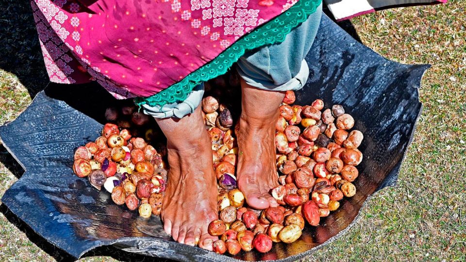 Chuño: the Andean secret to making potatoes last decades | Buenos Aires ...