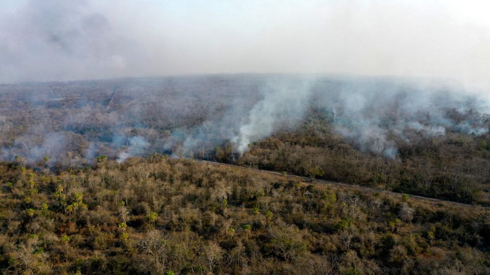 Wildfires devastate Bolivian nature reserves | Buenos Aires Times