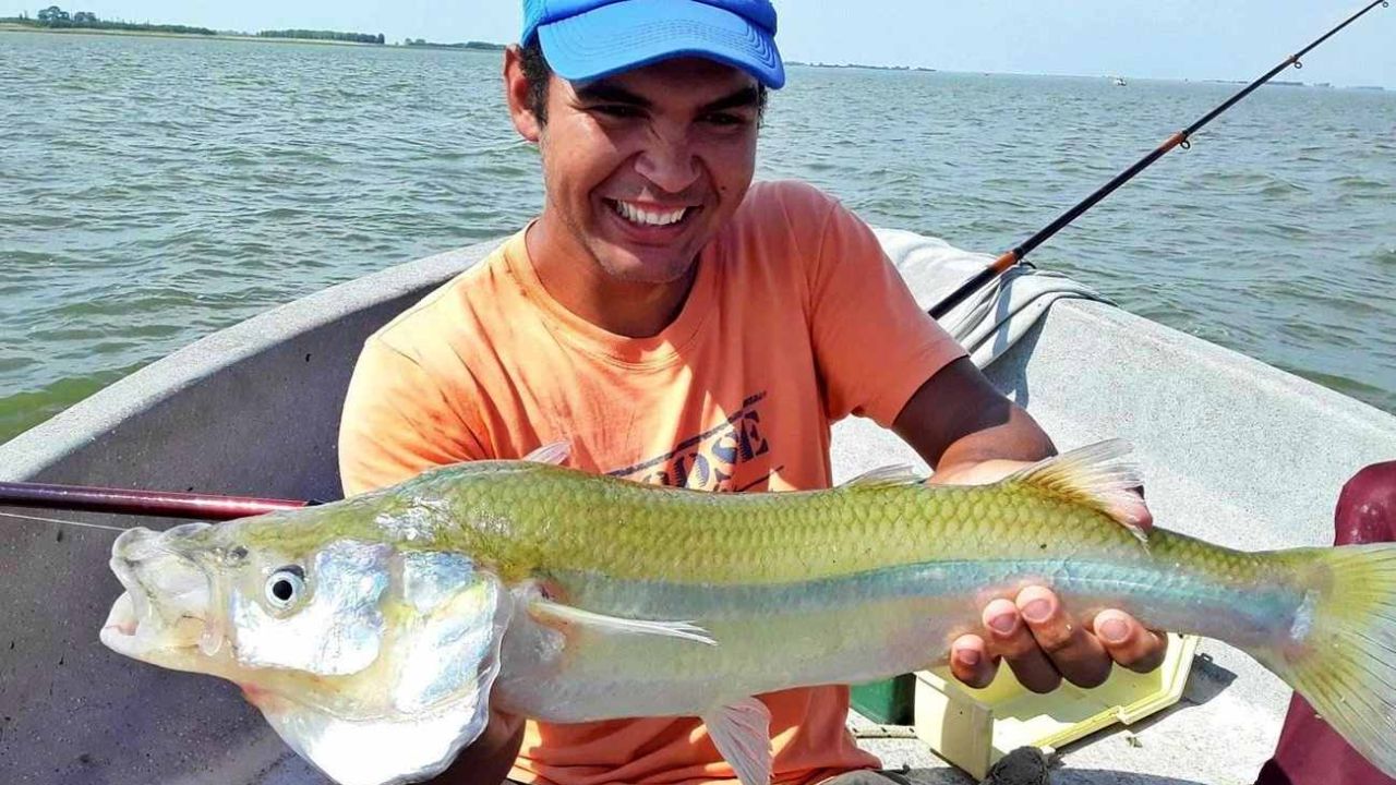 ¿El lago Cochicó se queda sin pejerrey? | Weekend