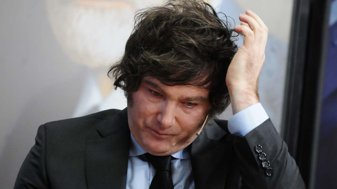 Javier Milei: "En un momento decidí que yo podía ser Espert con pelo ...