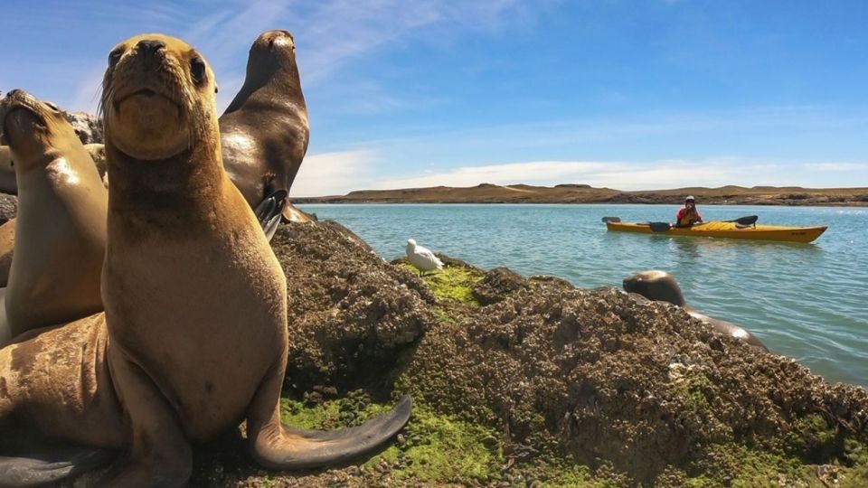 Puerto deseado, la Patagonia en todo su esplendor | Weekend