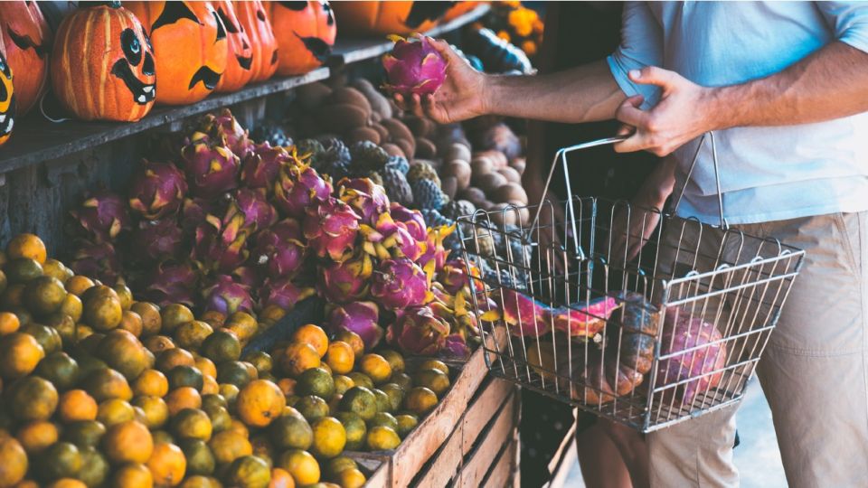 Riviera Maya: las mejores experiencias para descubrir la cultura local ...