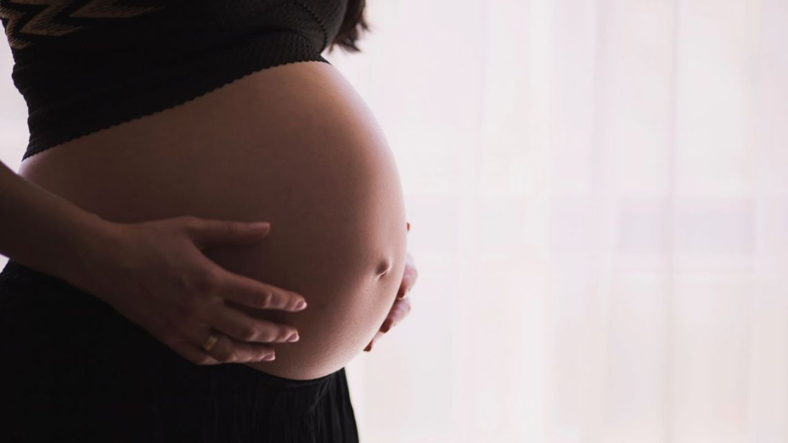Reproducción asistida: la importancia de evaluar la fragmentación del ...