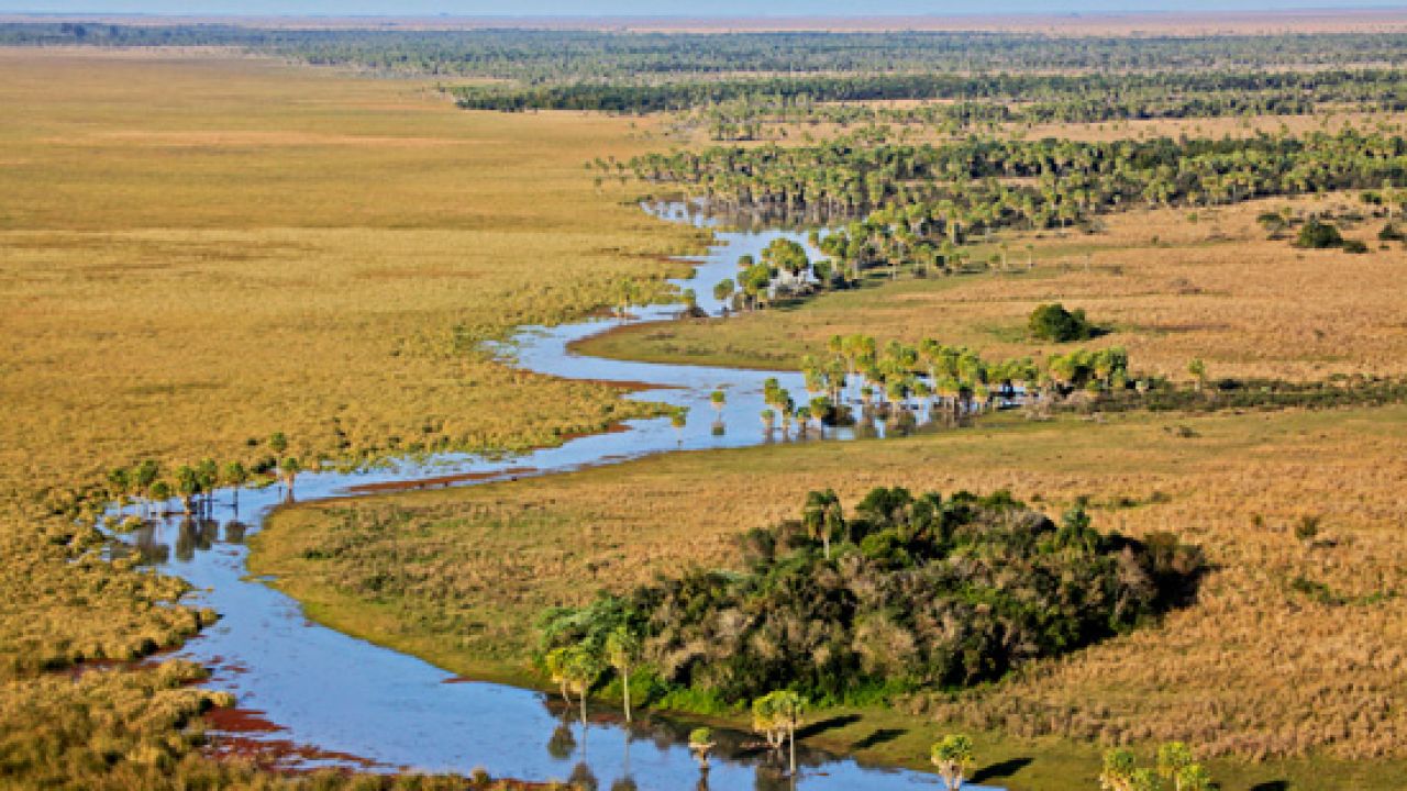 El Parque Nacional Iberá sumó 45.617 hectáreas | Weekend