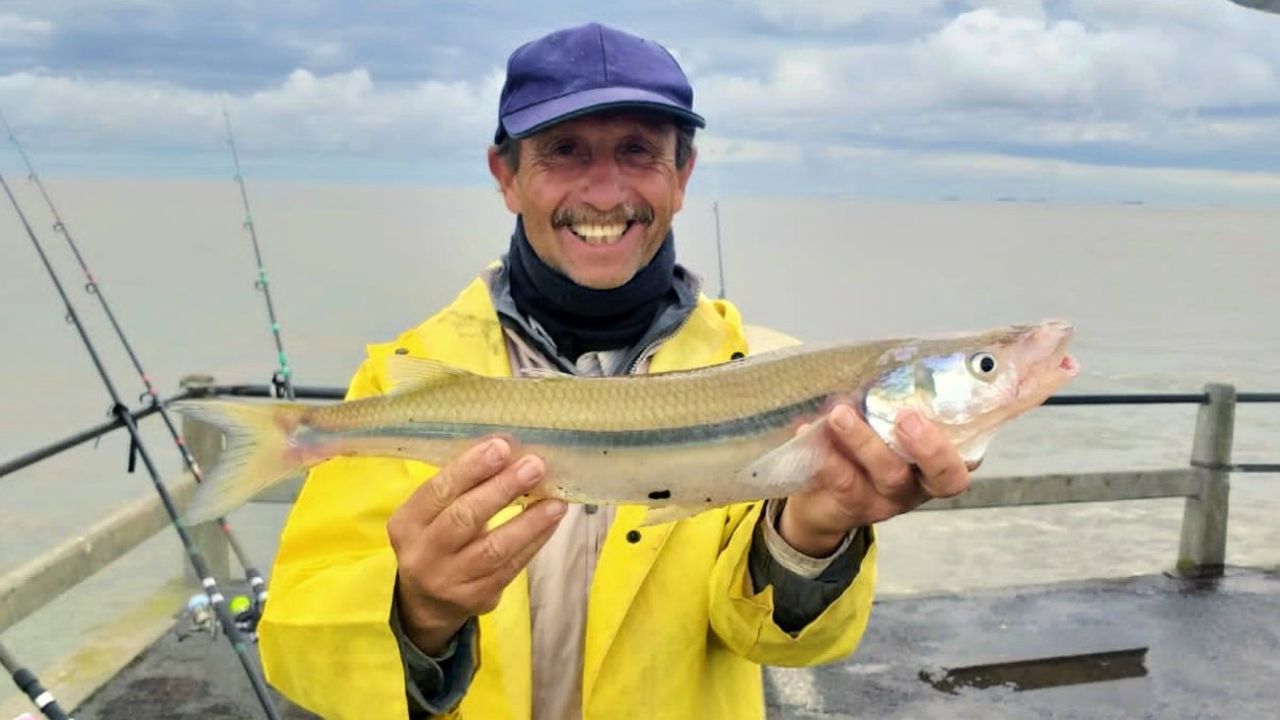 Enormes pejerreyes en el muelle de Punta Lara | Weekend