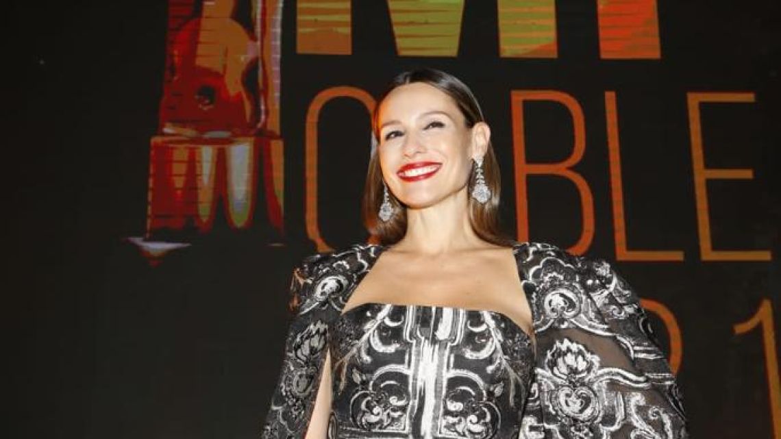 Pampita en los Martín Fierro de Cable: impactantes looks acompañada por ...
