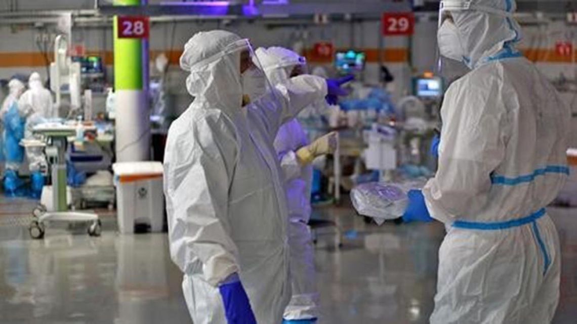 La mordedura de un ratón con Covid-19 causa alerta en Taiwán | Perfil